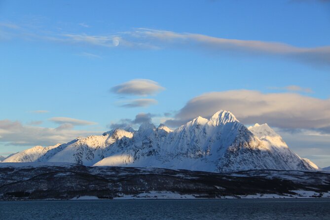From Tromso All-Inclusive Fjord Sightseeing Adventure by Bus - Customer Experiences