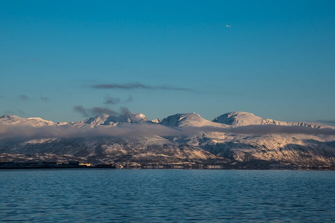 From Tromso All-Inclusive Fjord Sightseeing Adventure by Bus - Dietary Options