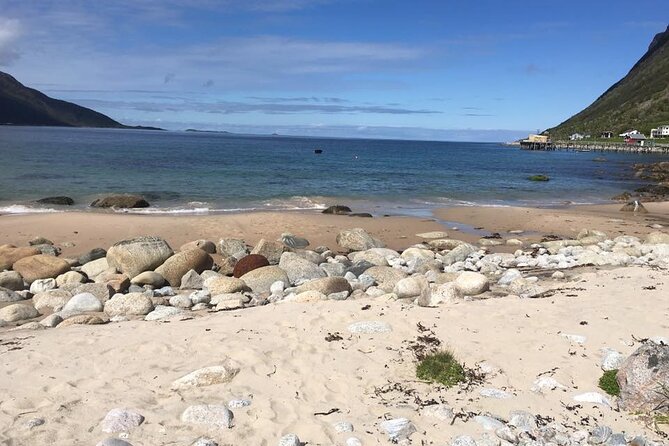 From Tromso All-Inclusive Fjord Sightseeing Adventure by Bus - Travel Tips