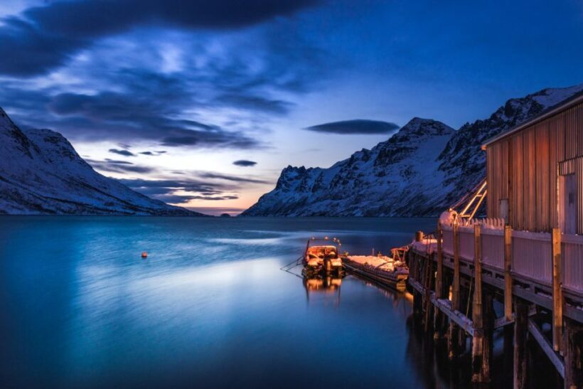 From Tromsø: Arctic Wildlife & Fjord Sightseeing Tour by Car - Key Points