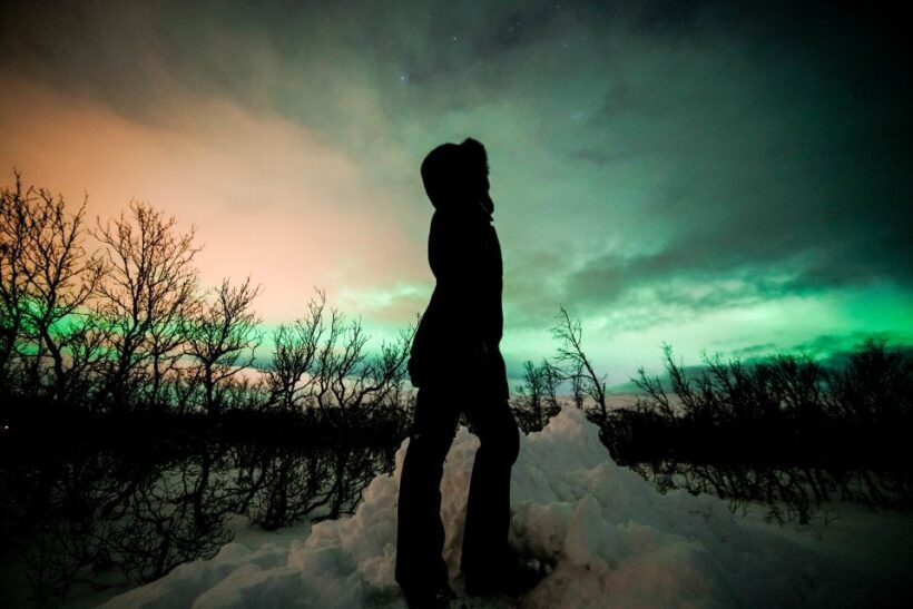 From Tromsø: Aurora Borealis Tour - An In-Depth Look at the Tromsø Aurora Borealis Tour