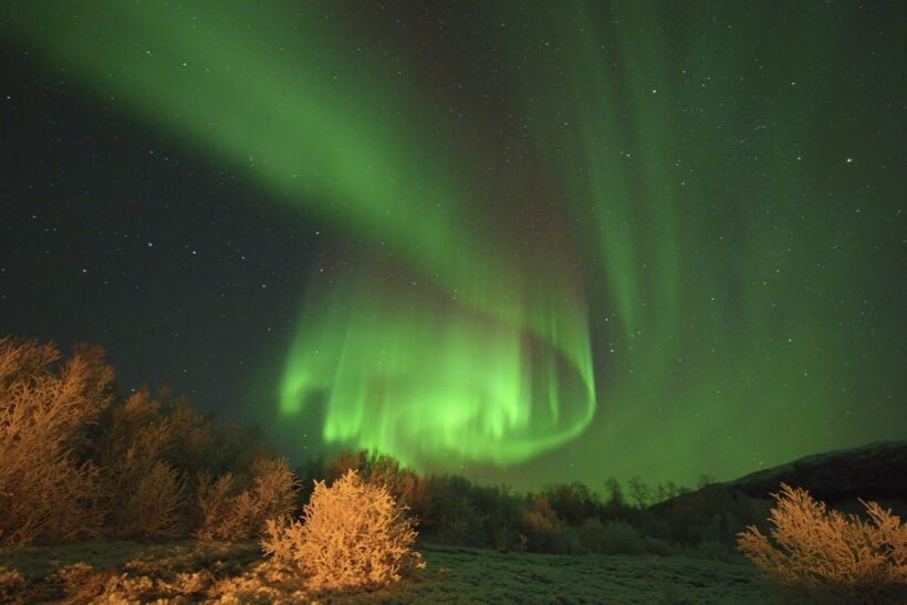 From Tromsø: Aurora Minibus Chase with Portrait and Hot Meal - Key Points