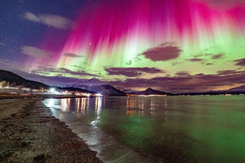 From Tromsø: Aurora Minibus Chase with Portrait and Hot Meal - What to Expect on the Tour