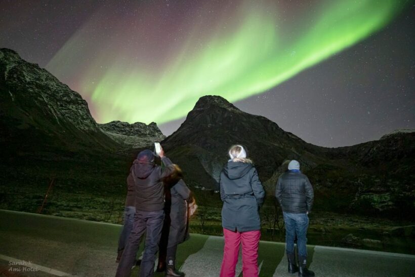 From Tromsø: Aurora Minibus Chase with Portrait and Hot Meal - Who Will Love This Tour?