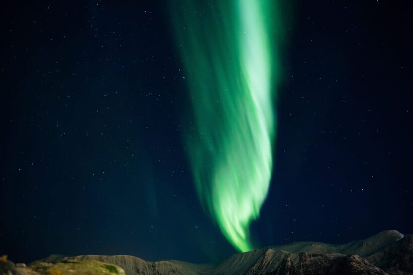 From Tromsø: Aurora Snowshoe Hike - Who Will Love This Tour?
