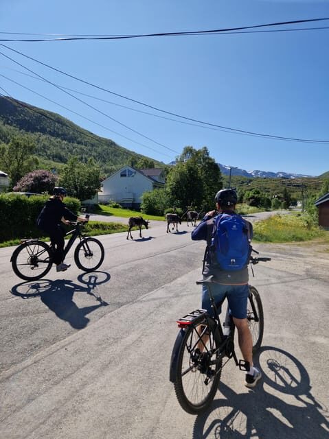 From Tromsø: Fjord Sightseeing With E-Bike - Key Points