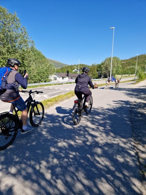 From Tromsø: Fjord Sightseeing With E-Bike - What’s Included and What to Expect