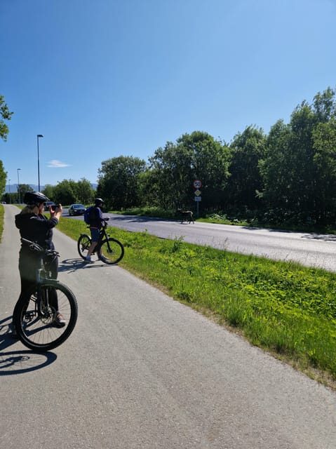 From Tromsø: Fjord Sightseeing With E-Bike - Pricing and Value