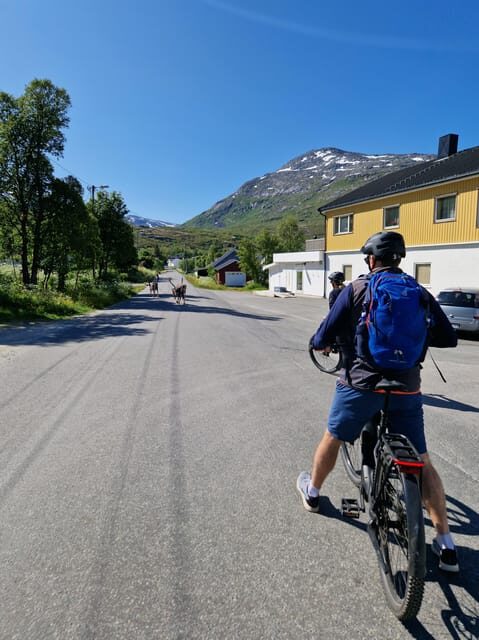 From Tromsø: Fjord Sightseeing With E-Bike - The Sum Up