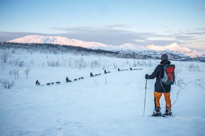 From Tromsø: Guided Husky Snowshoe Hike and Husky Camp Visit - Discovering the Tromsø Husky Snowshoe Tour