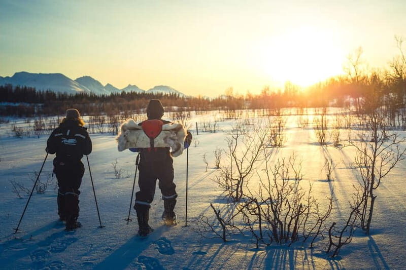 From Tromsø: Guided Husky Snowshoe Hike and Husky Camp Visit - The Experience’s Core Highlights