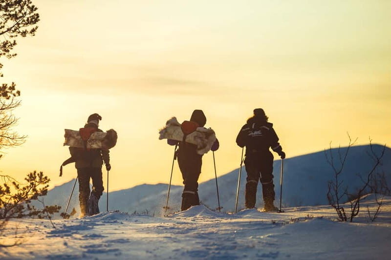 From Tromsø: Guided Husky Snowshoe Hike and Husky Camp Visit - Who Will Love This Tour?