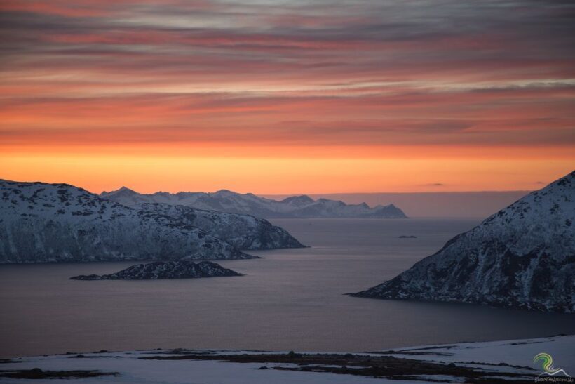 From Tromso: Norwegian Fjords Half-Day Tour - An In-Depth Look at the Tour Experience