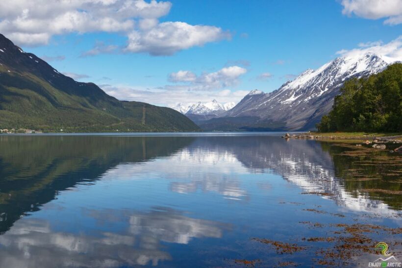 From Tromso: Norwegian Fjords Half-Day Tour - FAQ