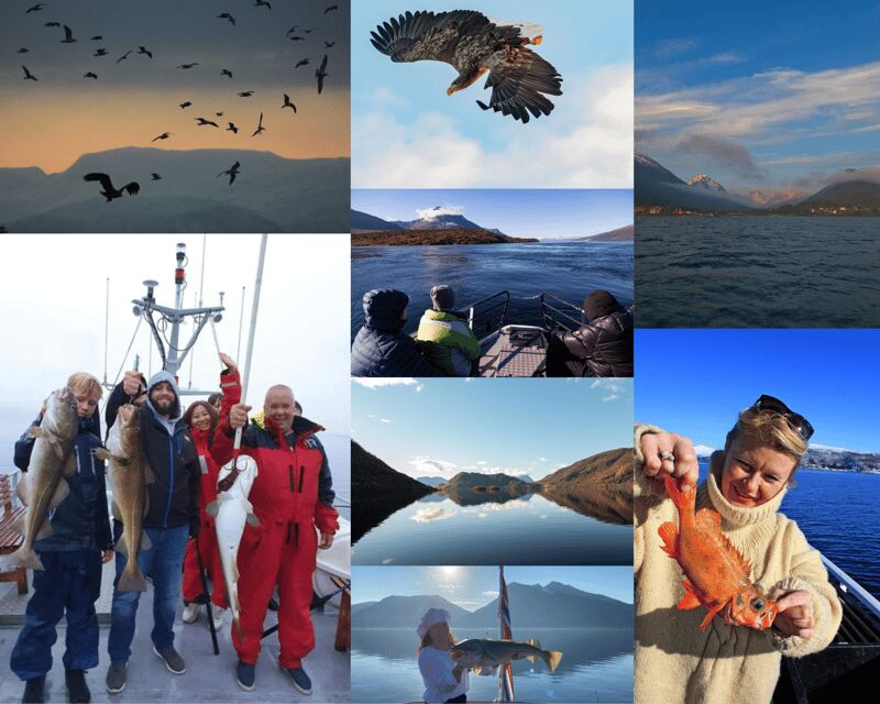 From Tromso: Polar Fishing Adventure - Why Choose the Polar Fishing Adventure?