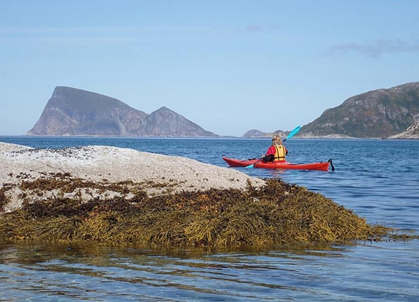 From Tromsø: Sea Kayaking Tour at Sommarøy with Transfer - An In-Depth Look at the Kayaking Experience