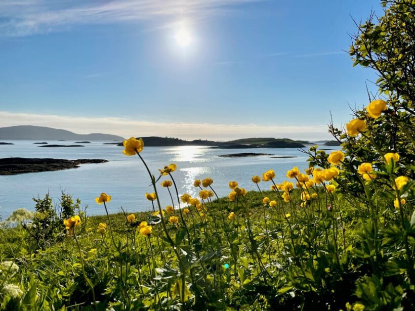From Tromsø: Sea Kayaking Tour at Sommarøy with Transfer - FAQ