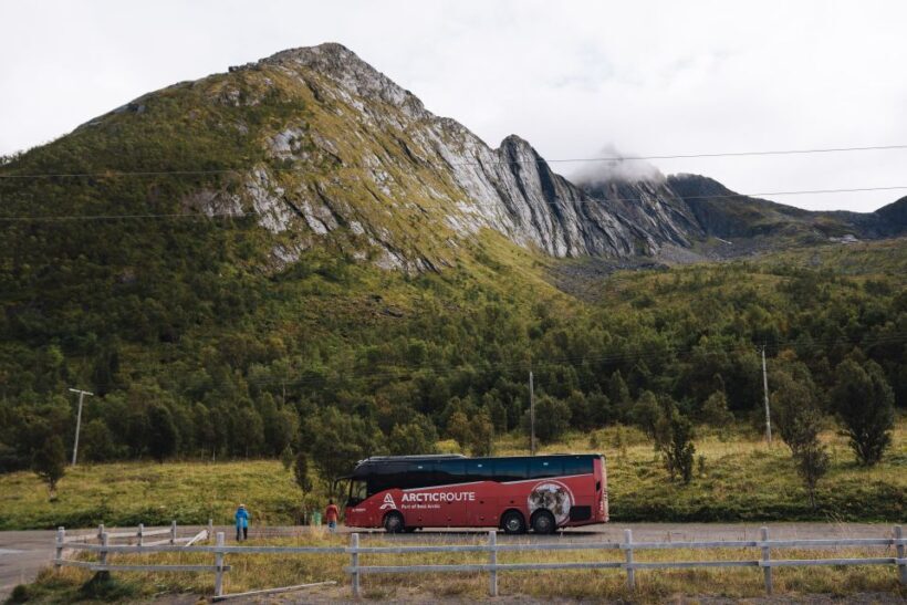 From Tromsø: Self-Guided Fjord Tour to Senja and Local Lunch - Who Would Love This Tour?