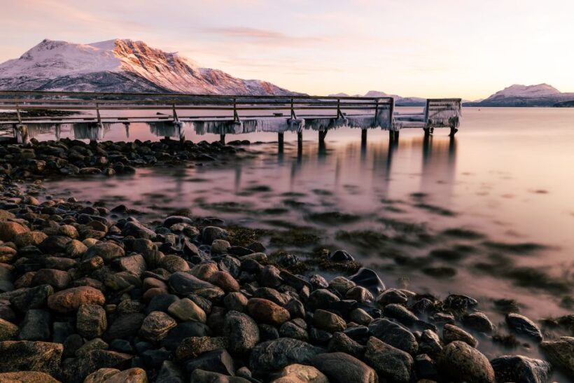From Tromsø: Senja and Kvaløya Arctic Day Trip with Lunch - The Sum Up