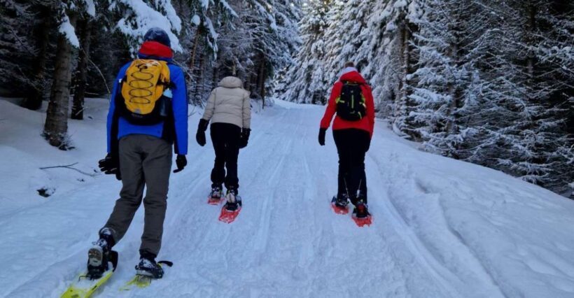 From Tromsø: Snowshoe Hike in the Arctic - From Tromsø: Snowshoe Hike in the Arctic – A Detailed Review