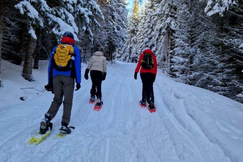 From Tromsø: Snowshoe Hike in the Arctic - The Value and Practicalities