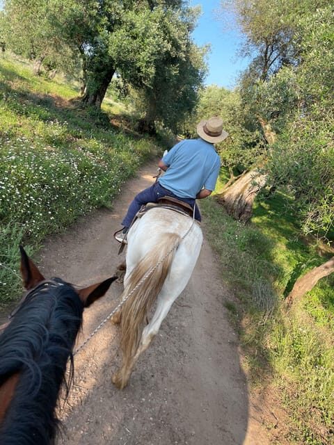 From Tropea: Horseback Riding Tour with Picnic in Francica - The Sum Up
