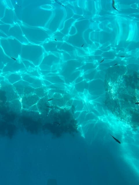From Tropea: Max 8 People Comfort Trip to Capo Vaticano - FAQ