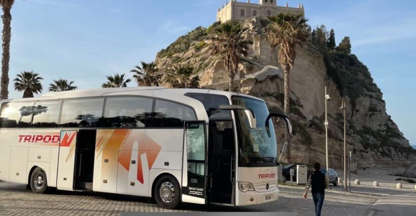 From Tropea: Reggio and Scilla Daily Tour - Who Will Love This Tour?