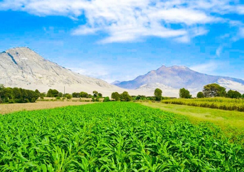 From Trujillo: Complete full day tour with museums - The Huacas of the Sun and Moon