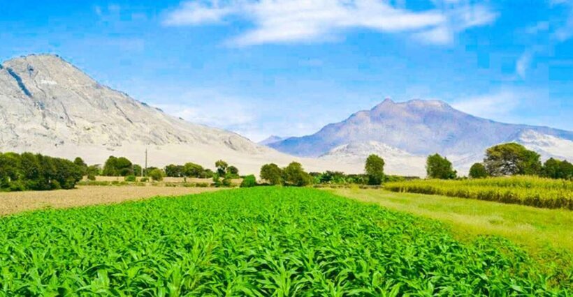 From Trujillo: Complete full day tour with museums - Chanchan — A City of Citadels