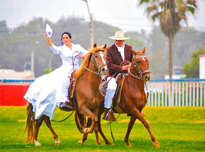 From Trujillo: full day with paso horses and sailor show - What to Expect on This Full-Day Journey from Trujillo