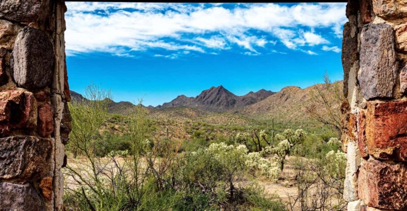 From Tucson: Sonoran Desert with Desert Museum Ticket - The Value of This Tour