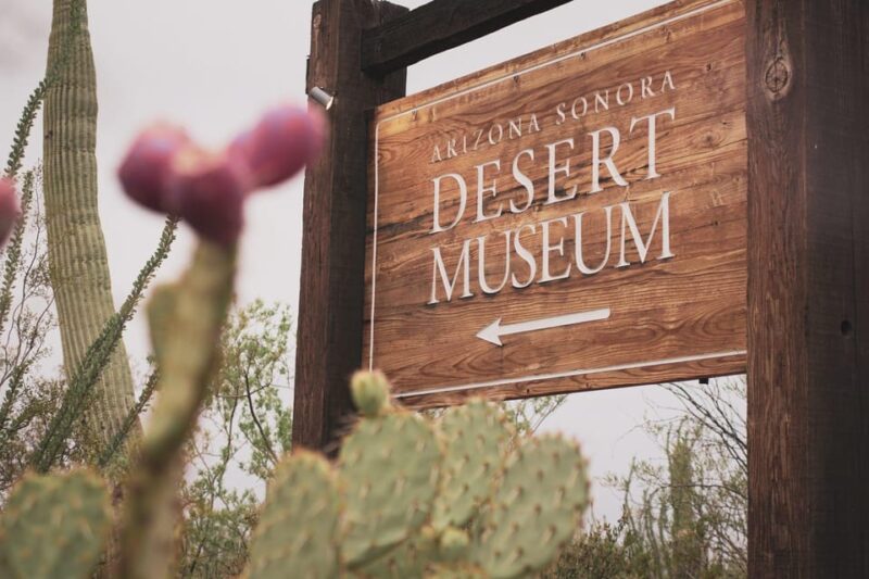 From Tucson: Sonoran Desert with Desert Museum Ticket - FAQ