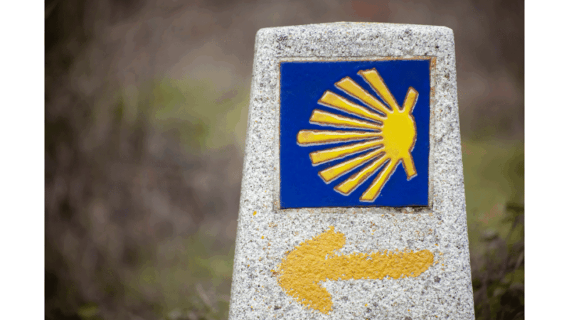 From Tui: 9-Day Guided Camino Walking Tour to Santiago - Why Choose the Tui to Santiago Guided Tour?