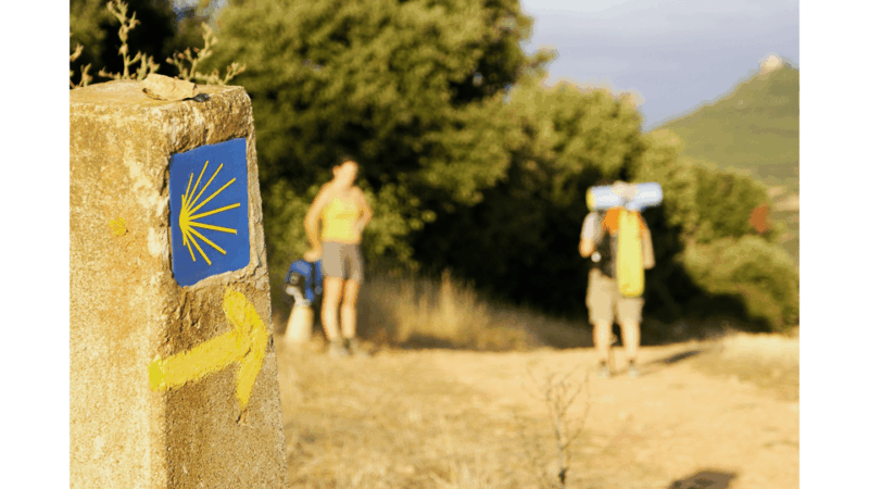 From Tui: 9-Day Guided Camino Walking Tour to Santiago - The Experience of Walking the Camino Portugues