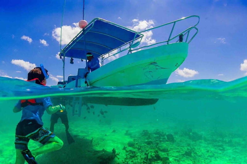 From Tulum: Cenote Riviera Maya & Snorkel Excursion - What Travelers Say