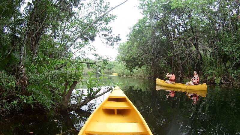 From Tulum: Four-Cenote Adventure - Snorkeling at Cenote Azul