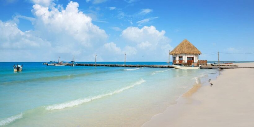 From Tulum: Holbox Island Full-Day Trip with Lunch - Key Points