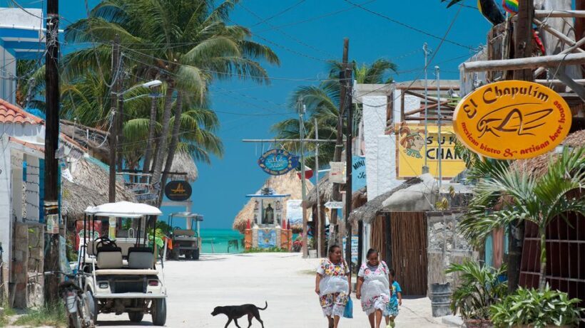 From Tulum: Holbox Island Full-Day Trip with Lunch - What to Expect: A Detailed Look at Your Day