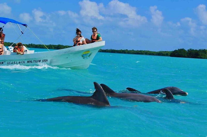 From Tulum: Sian Kaan Day Tour - Key Points