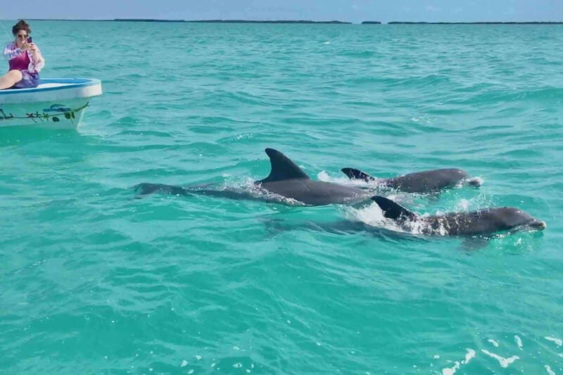 From Tulum: Sian Kaan Day Tour - Final Thoughts: Who Should Consider This Tour?