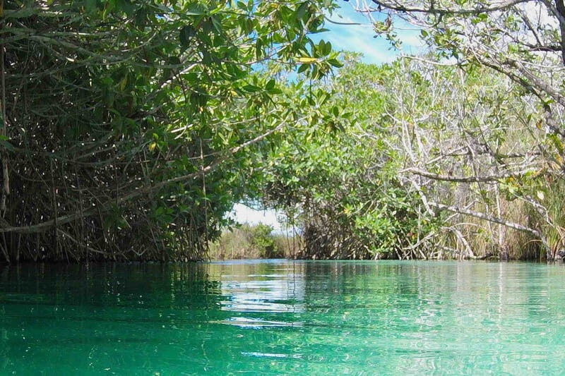 From Tulum: Sian KaAn Muyil Lagoon Tour - An In-Depth Look at the Sian Ka’an Muyil Lagoon Tour