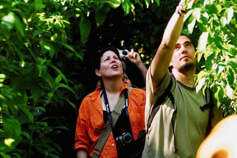 From Tulum: Sian KaAn Muyil Lagoon Tour - Who Should Consider This Tour?