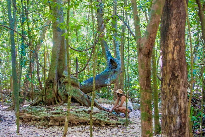 From Tulum: Sian KaAn Muyil Lagoon Tour - FAQ