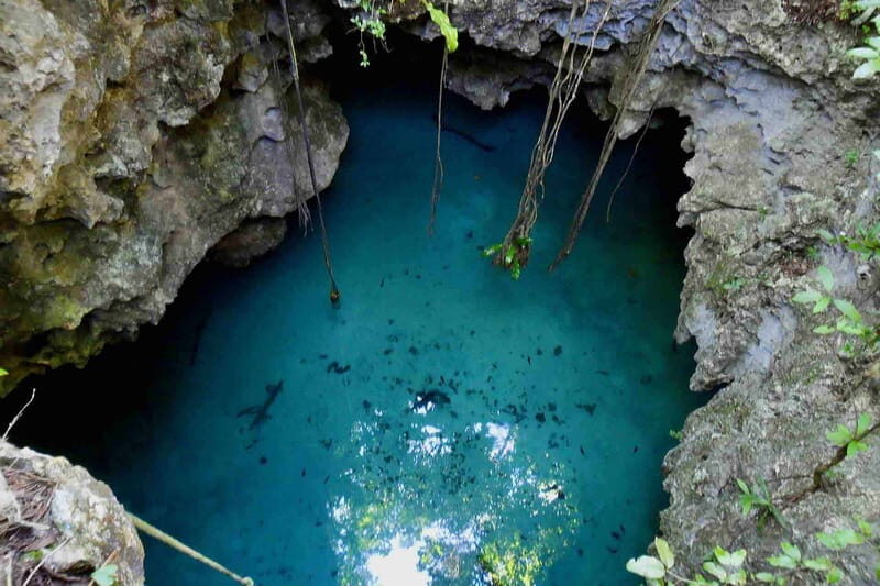 From Tulum: Temazcal & Cenote Private Experience - FAQ