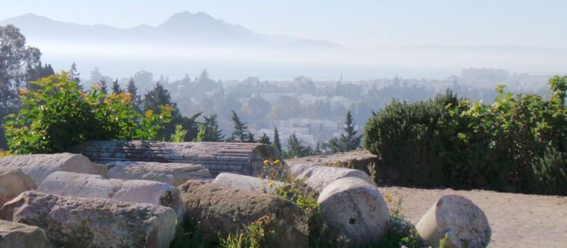 From Tunis/Sousse: Medina Bardo Carthage, Sidi Boussaid Tour - Discovering Tunisia in a Day