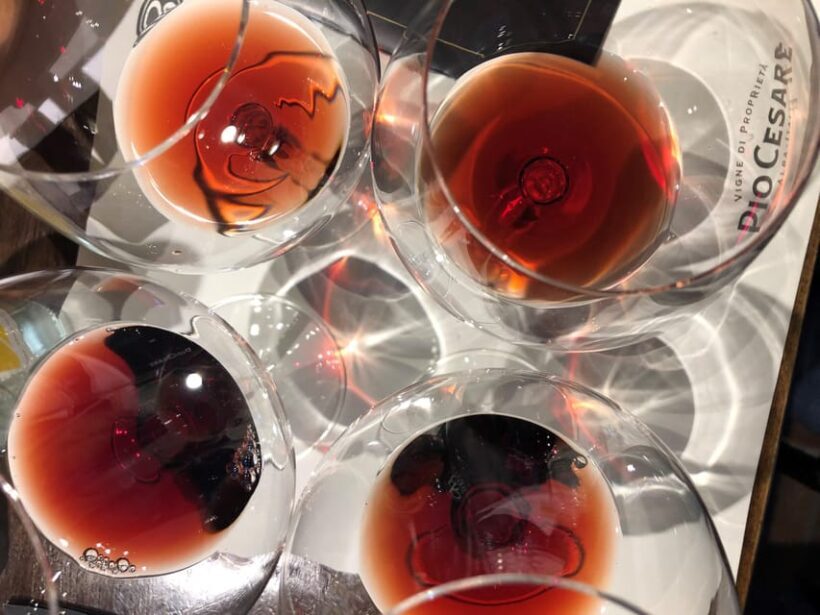From Turin: Barolo & Barbaresco Tasting Tour - An Inside Look at the Tour Experience
