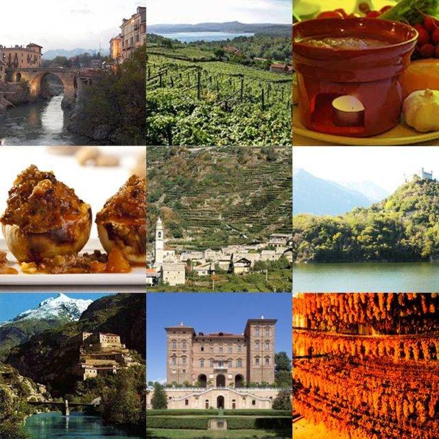 From Turin: food and wine guided tour in Canavese - Who Will Love This Tour?