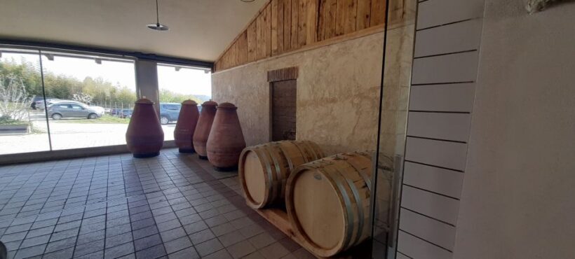 From Turin: food and wine guided tour in Canavese - Final Thoughts