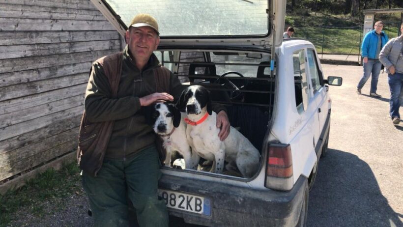 From Turin: Half-Day Truffle Hunting and Lunch in Piedmont - Value and Pricing